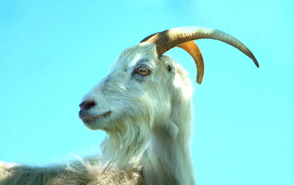 La Regione Istriana sta preparando il programma di rivitalizzazione ...